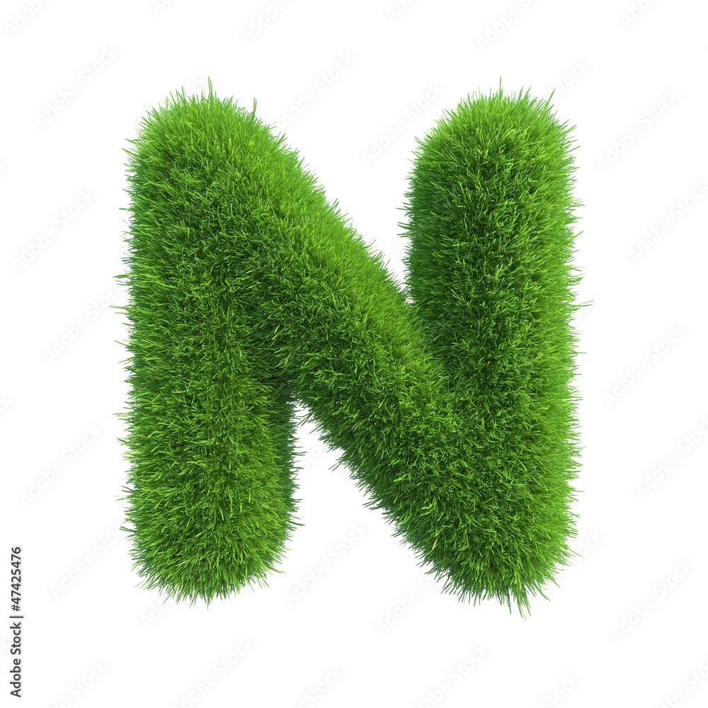 grass letter N isolated on white background Stock Illustration | Adobe ...