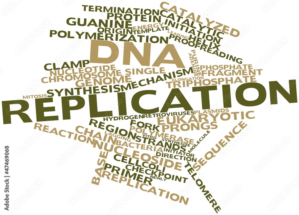 Poster Word cloud for DNA replication – Wall Art | UkPosters