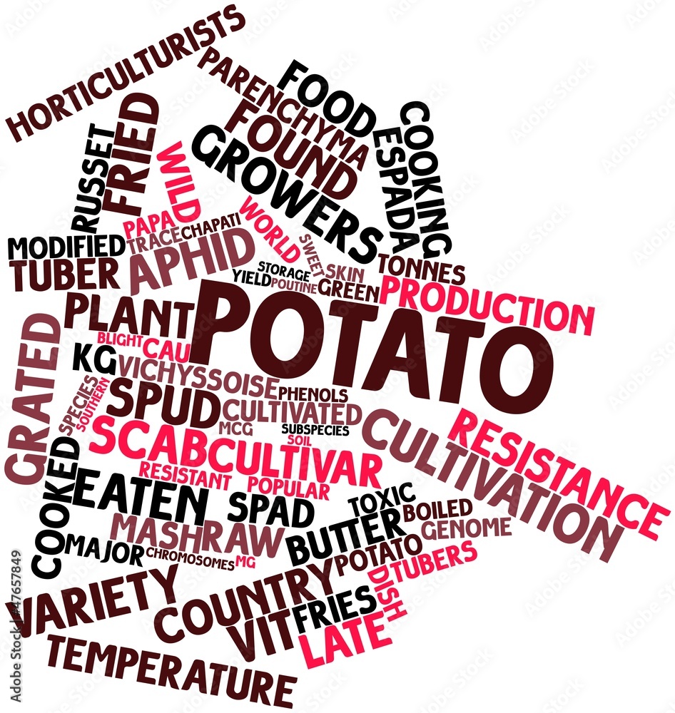 Word cloud for Potato Stock Illustration | Adobe Stock