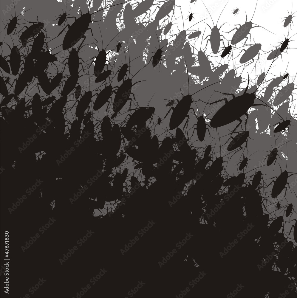 Bugs Stock Vector | Adobe Stock