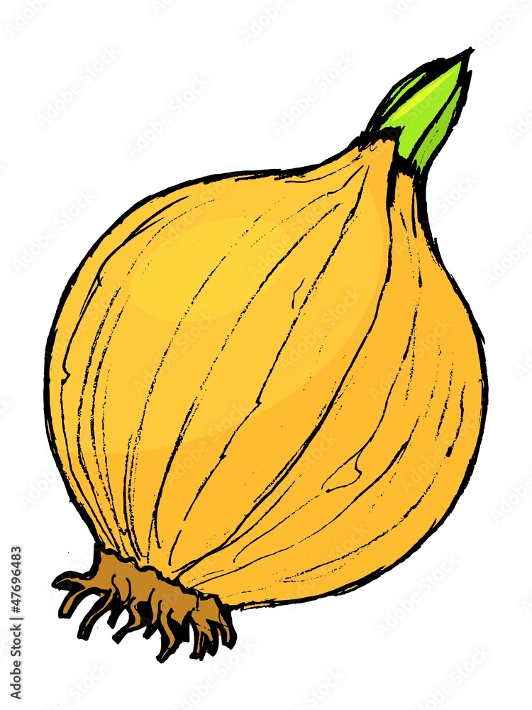 Hand drawn, vector, cartoon illustration of onion Stock Vector | Adobe ...