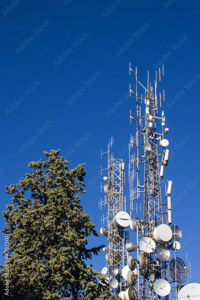 antenne Stock Photo | Adobe Stock