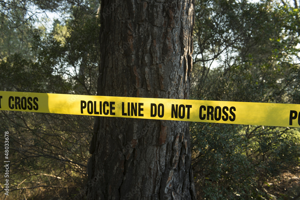 Crime scene in the forest Stock Photo | Adobe Stock
