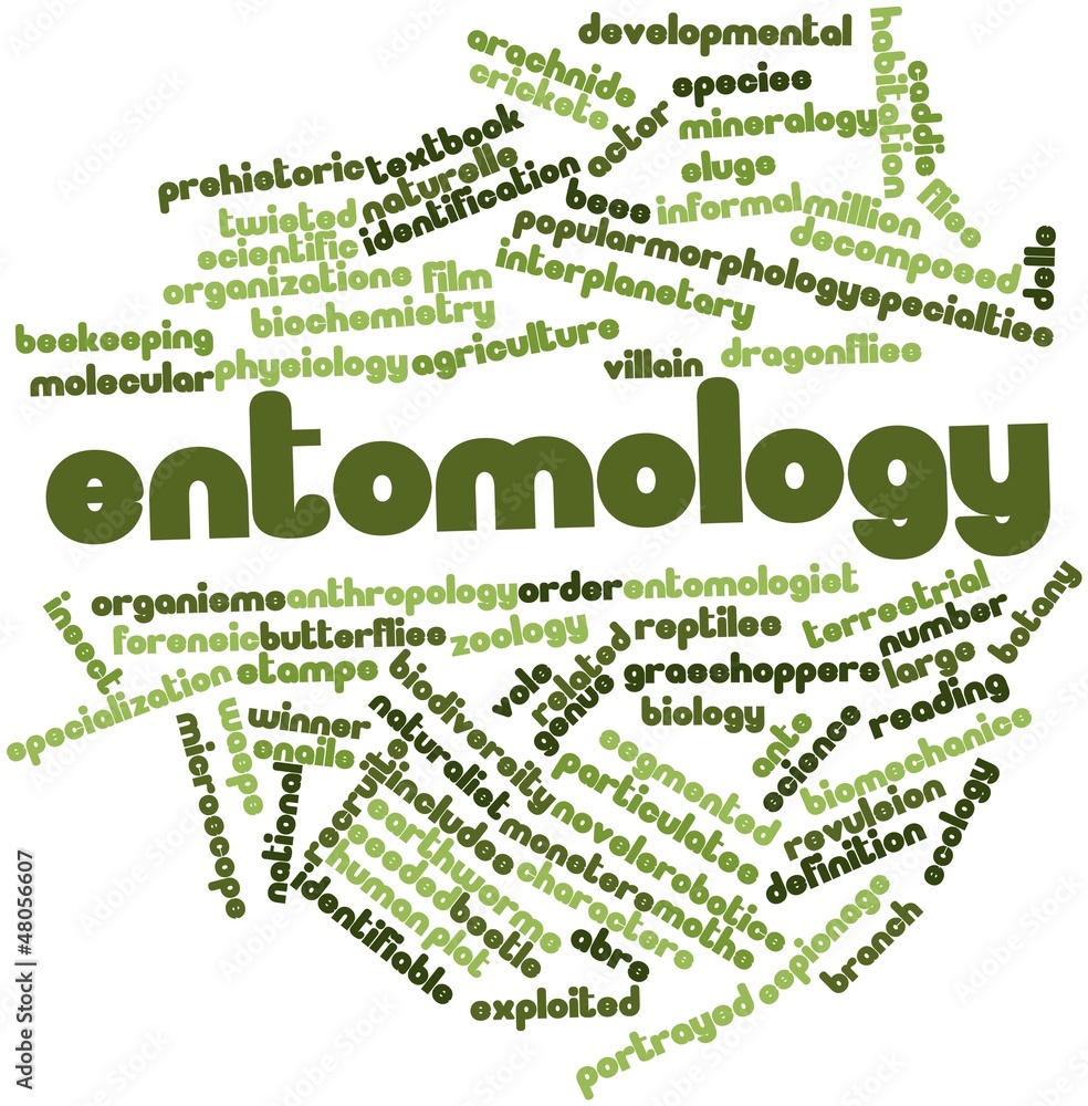 Word cloud for Entomology Stock Illustration | Adobe Stock