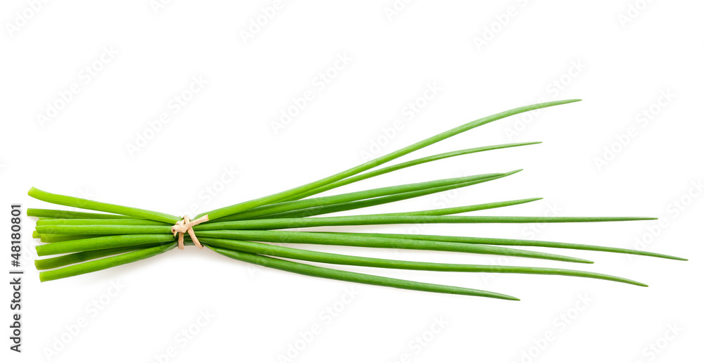 Chives bunch Stock Photo | Adobe Stock