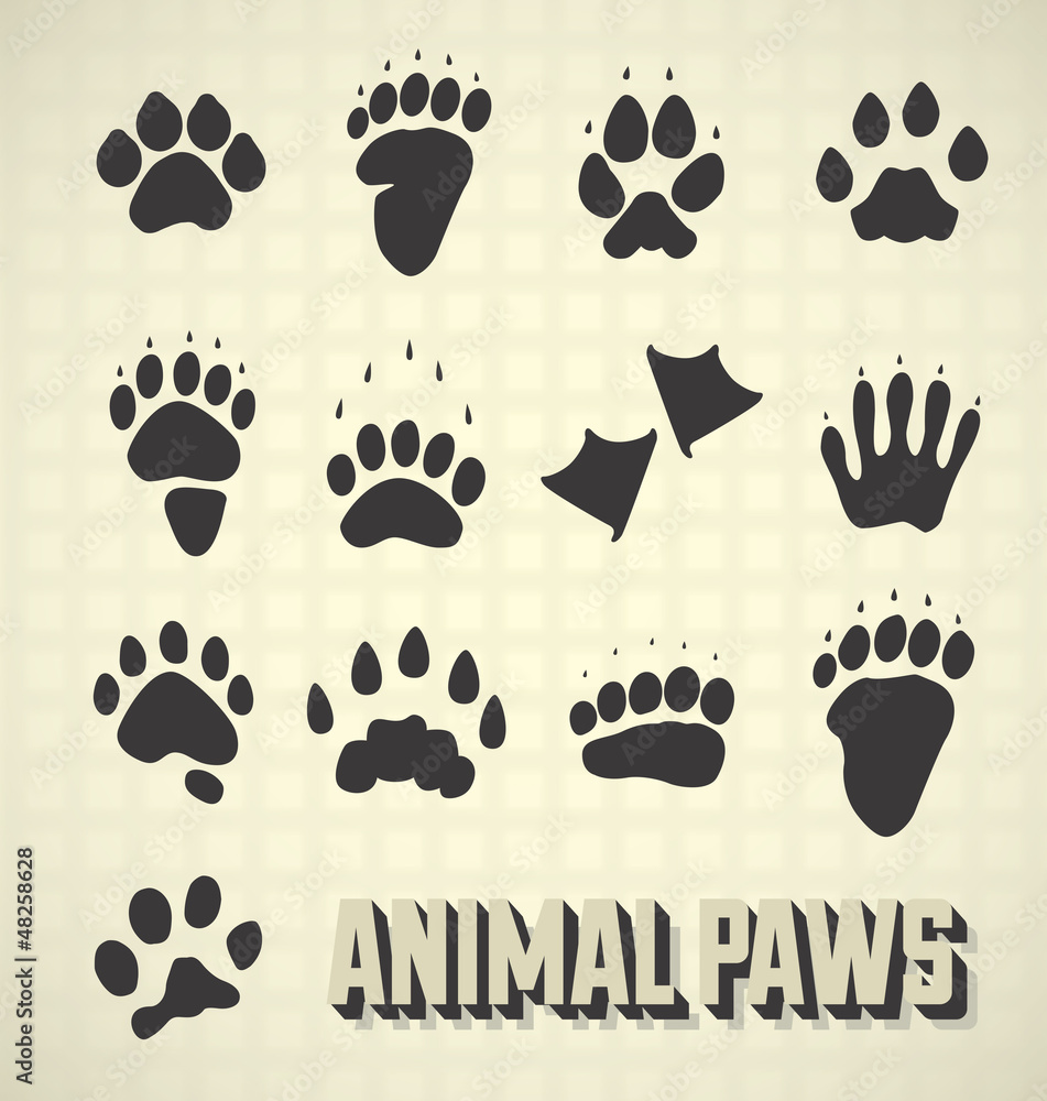 Vector Set: Paw Prints of WIld and Domestic Animals Stock Vector ...