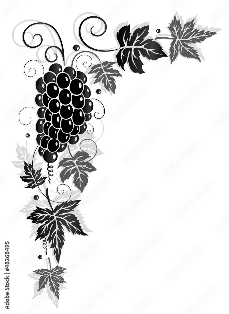 Wein, Weinrebe, Ranke, Weinblätter, Weintrauben, wine Stock ...