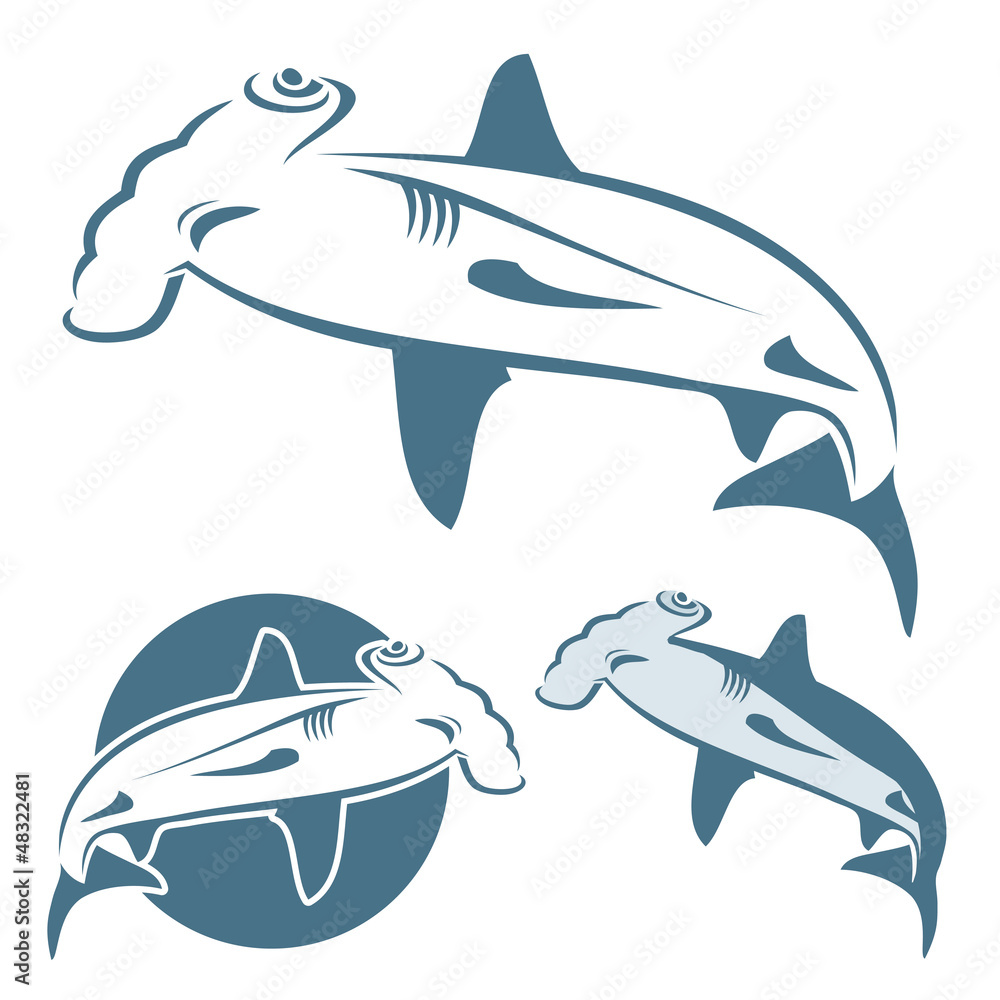 Hammerhead shark Stock Vector | Adobe Stock