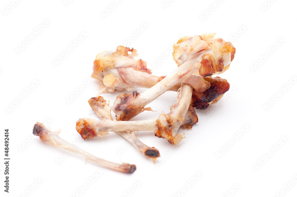 Chicken Bones Stock Photo | Adobe Stock