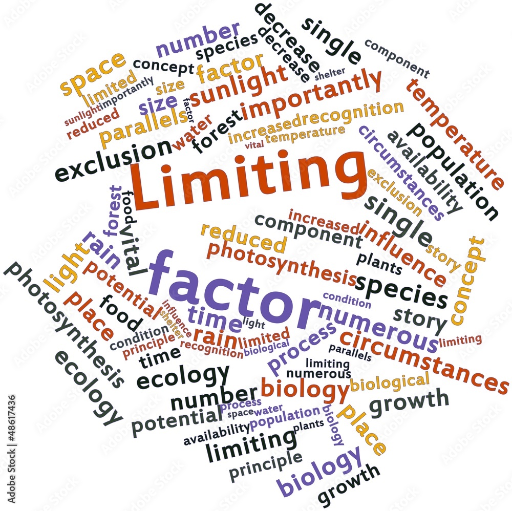 Word cloud for Limiting factor Stock Illustration | Adobe Stock