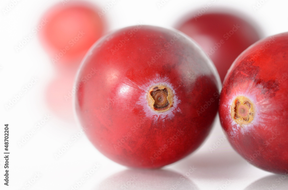 Cranberries Stock Photo | Adobe Stock