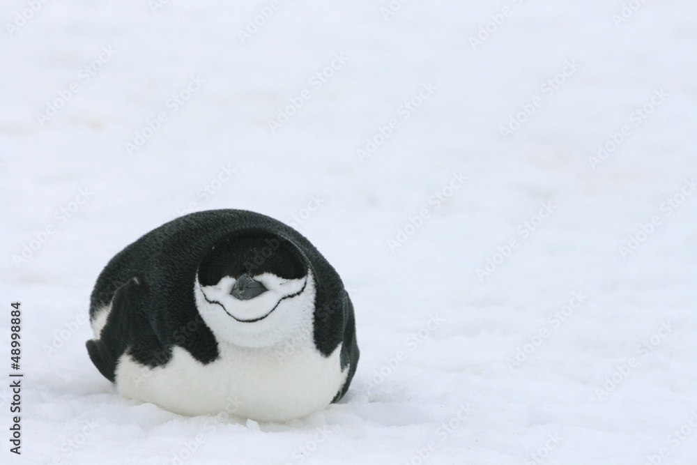 Smile Stock Photo | Adobe Stock