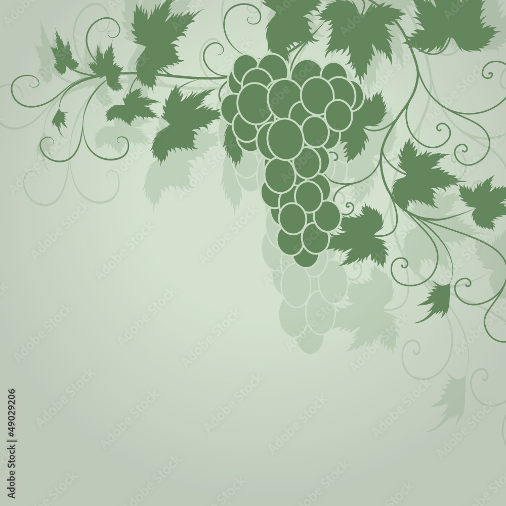 wein, weinrebe, weinblätter, weintrauben, vine, ranke, vektor, Stock ...