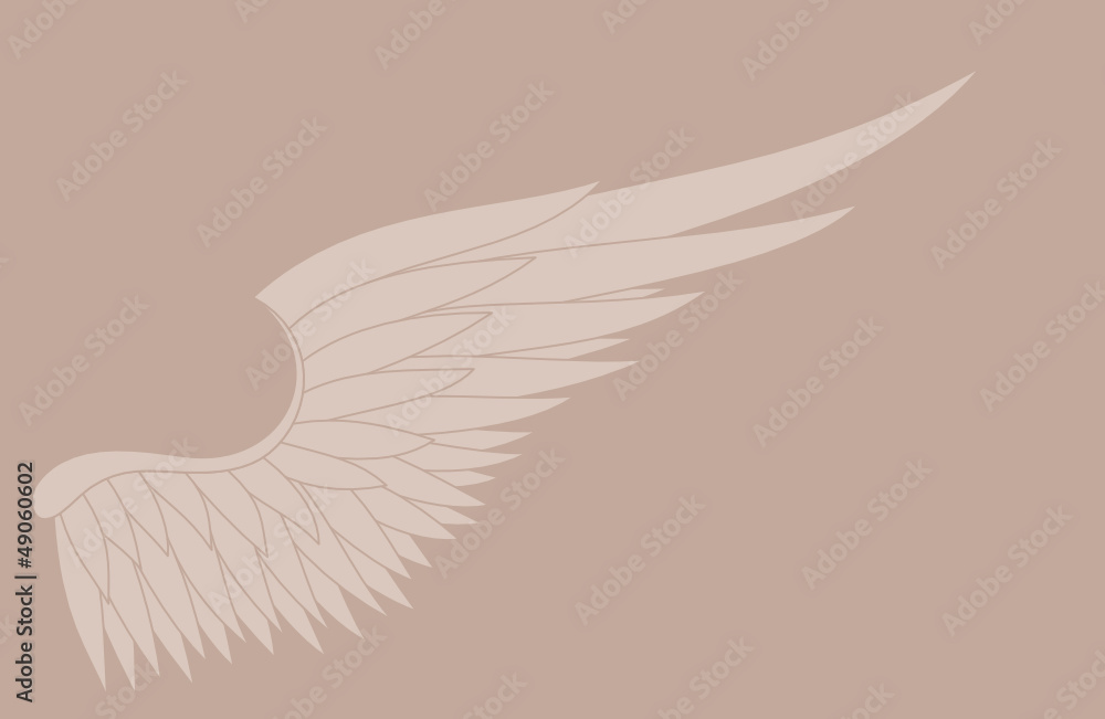 single wing vector Stock-Vektorgrafik | Adobe Stock