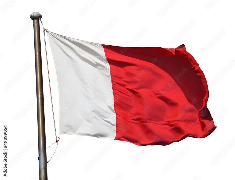 Flag of Dubai isolated over white background Stock Photo | Adobe Stock