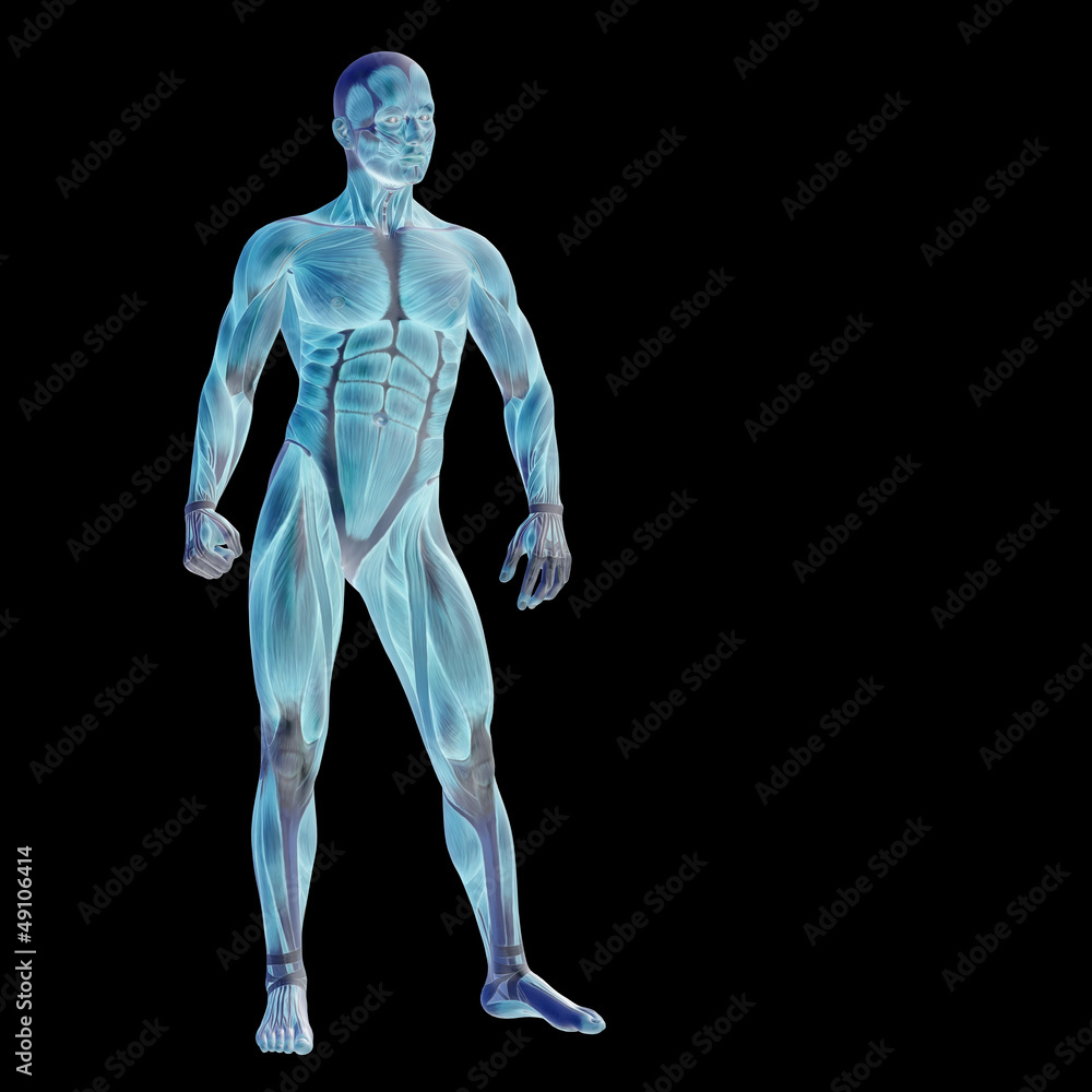 High resolution conceptual 3D human for anatomy Stock Illustration ...