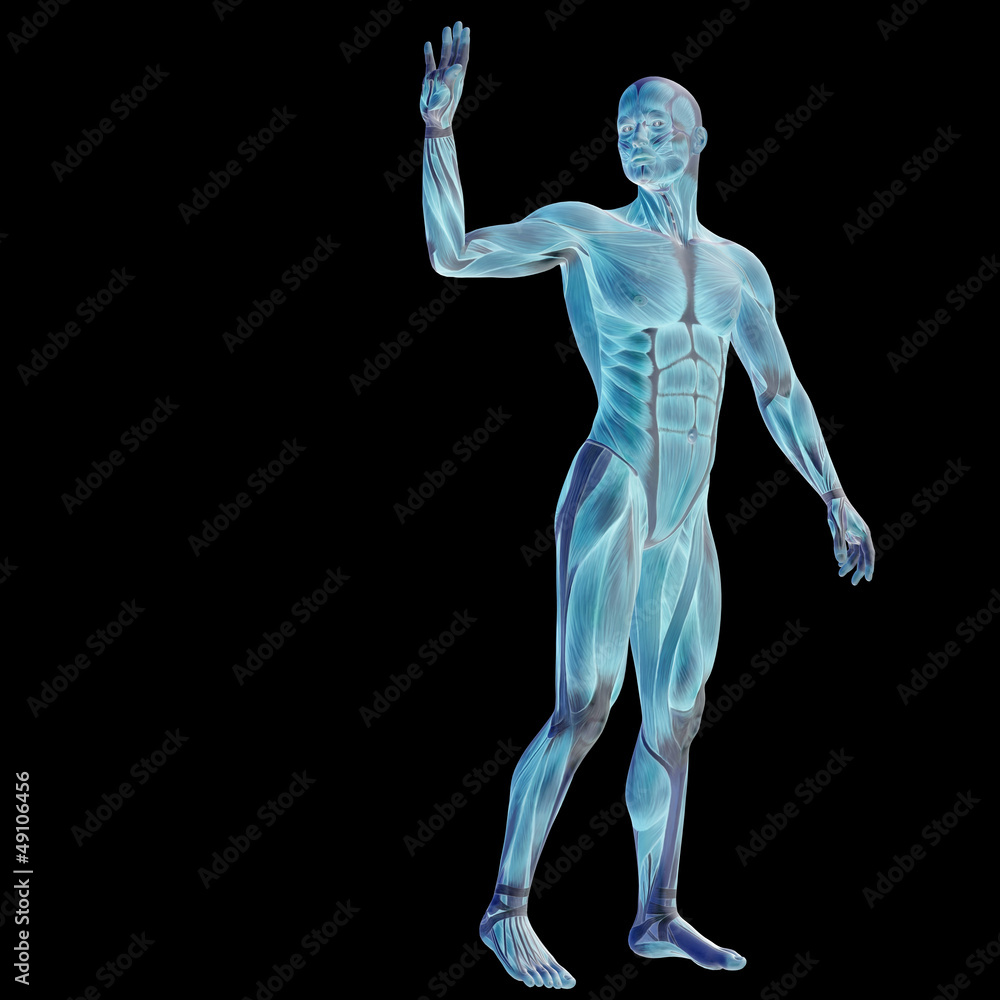 High resolution conceptual 3D human for anatomy Stock Illustration ...