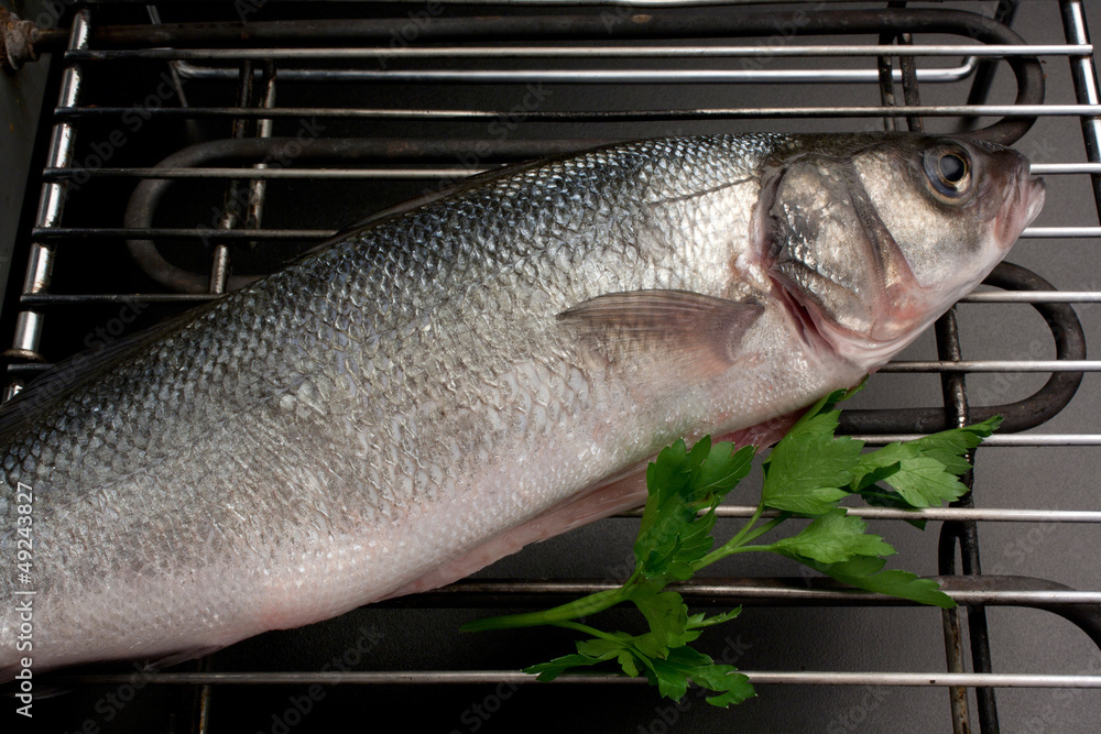 Spigola Stock Photo | Adobe Stock