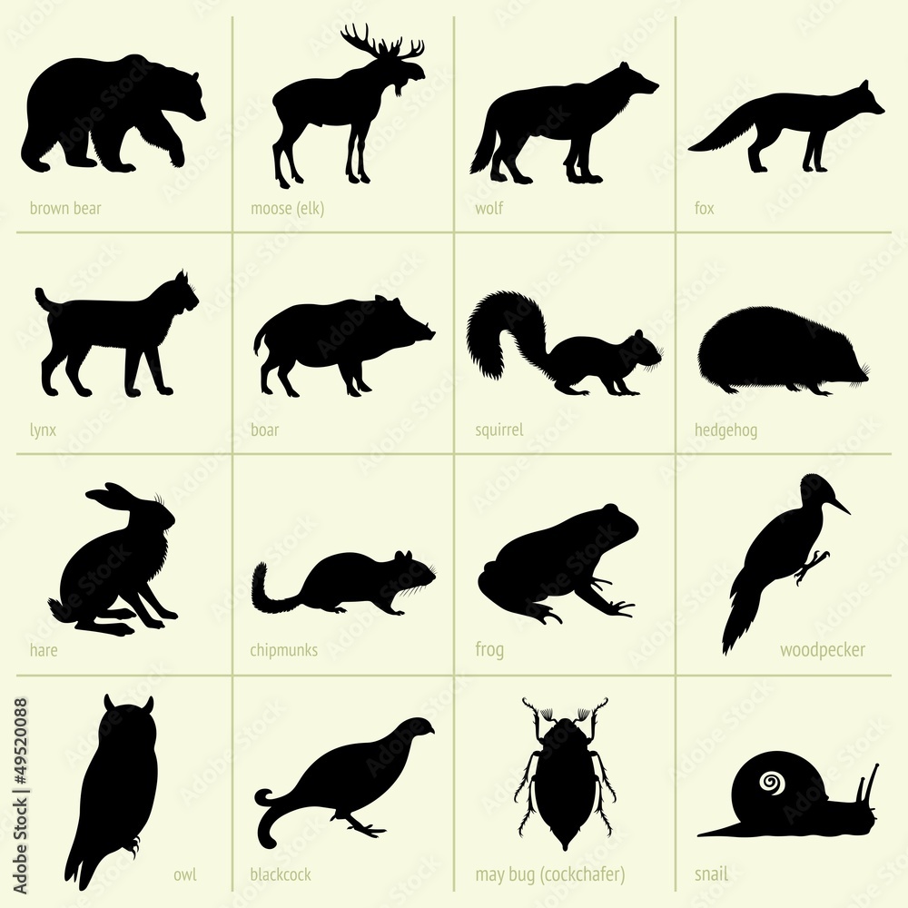 Forest animals' silhouettes Stock Illustration | Adobe Stock