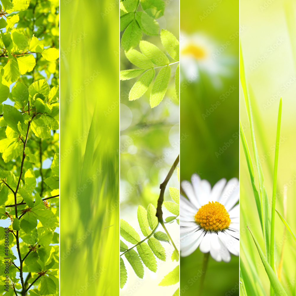 Spring seasonal collage Stock Photo | Adobe Stock