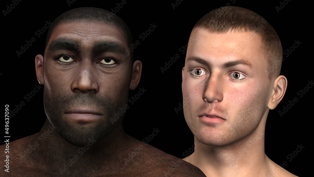 Homo Erectus Animation Stock Video | Adobe Stock