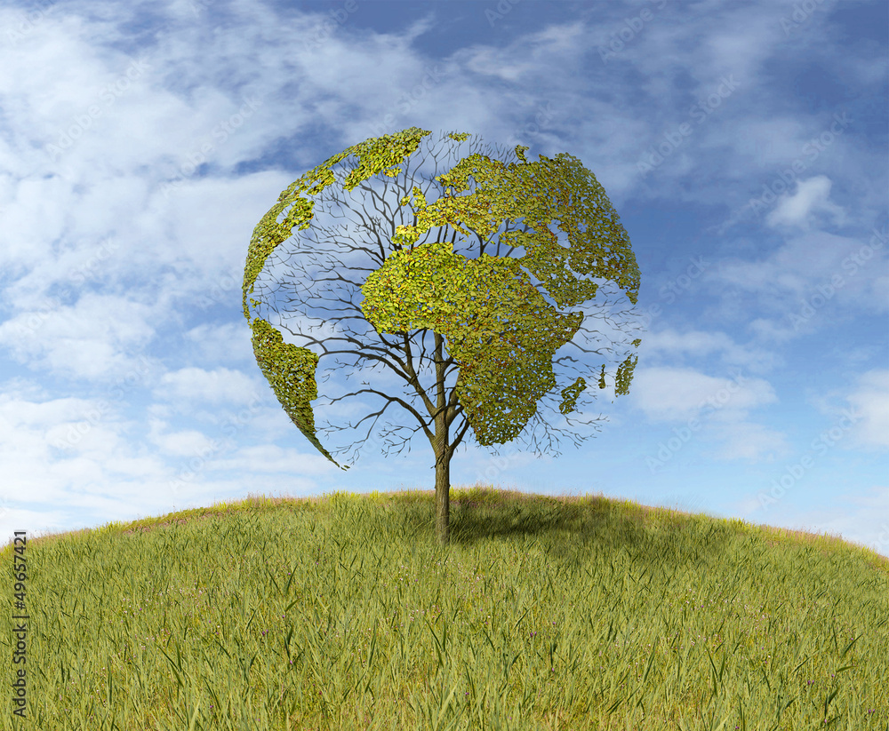 the shape of the world map in a tree Stock Photo | Adobe Stock