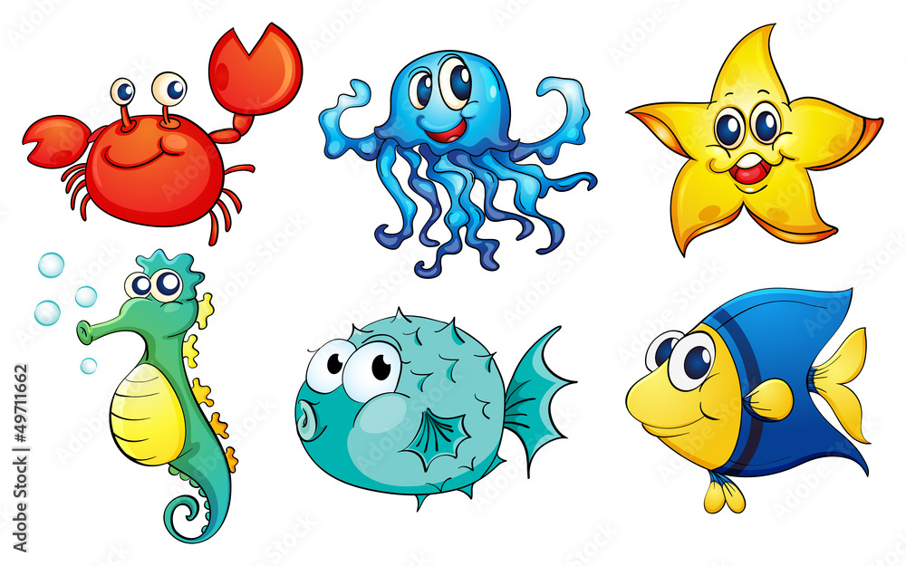 Poster The different sea creatures – Wall Art | UkPosters