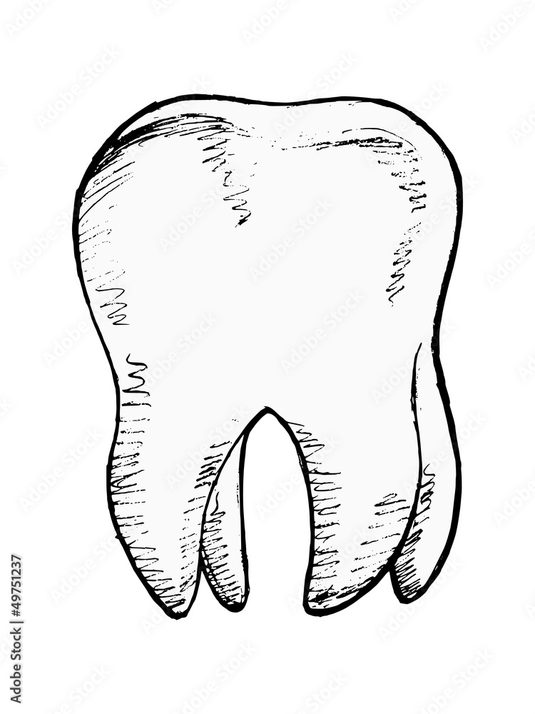 hand drawn, vector, sketch illustration of tooth Stock Vector | Adobe Stock