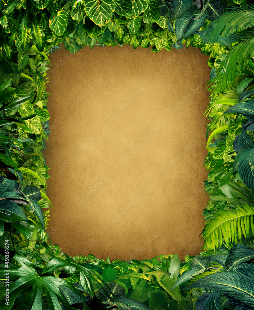 Wild Jungle Frame Stock Illustration | Adobe Stock