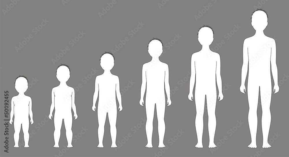 Vector illustration of man-child's figure from 1 to 10 years Stock ...