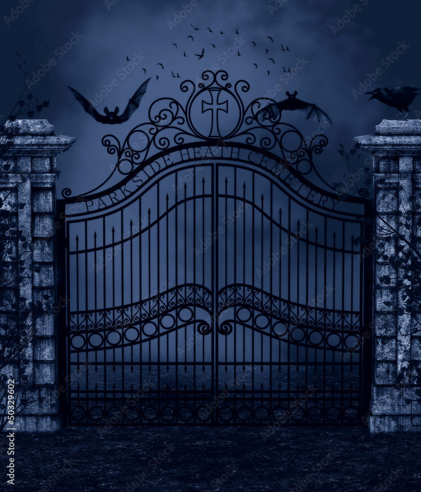 Dark Night Stock Illustration | Adobe Stock