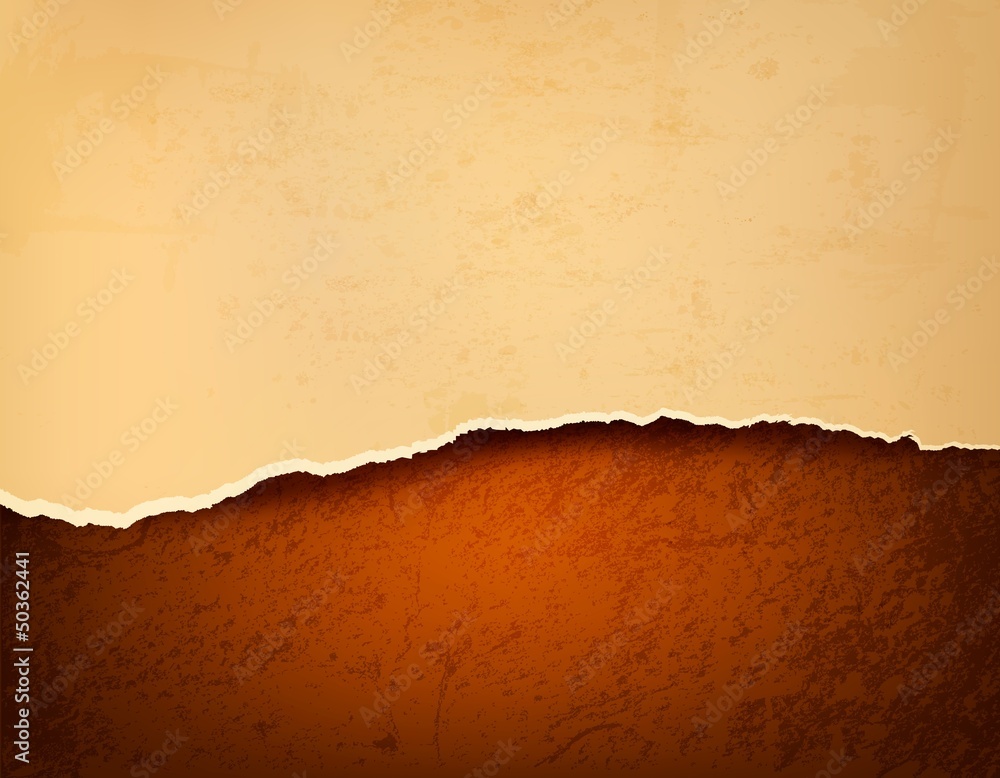 Old Torn Paper Vector