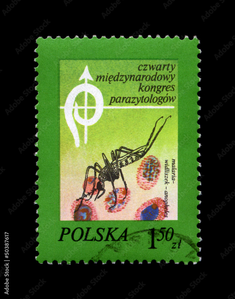 malaria insect on the huan skin closeup, anopheles mosquito and blood ...