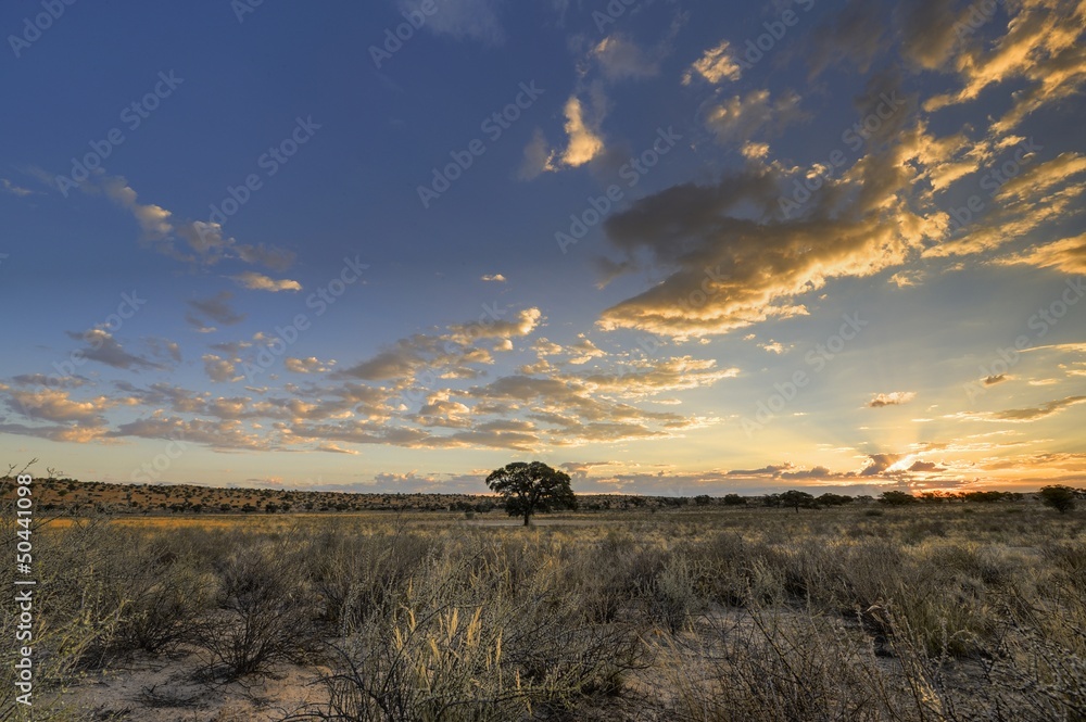 Kalahari Desert Sunset