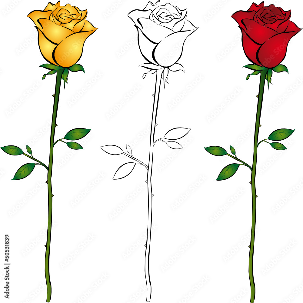 Rosen Set Stock-Vektorgrafik | Adobe Stock