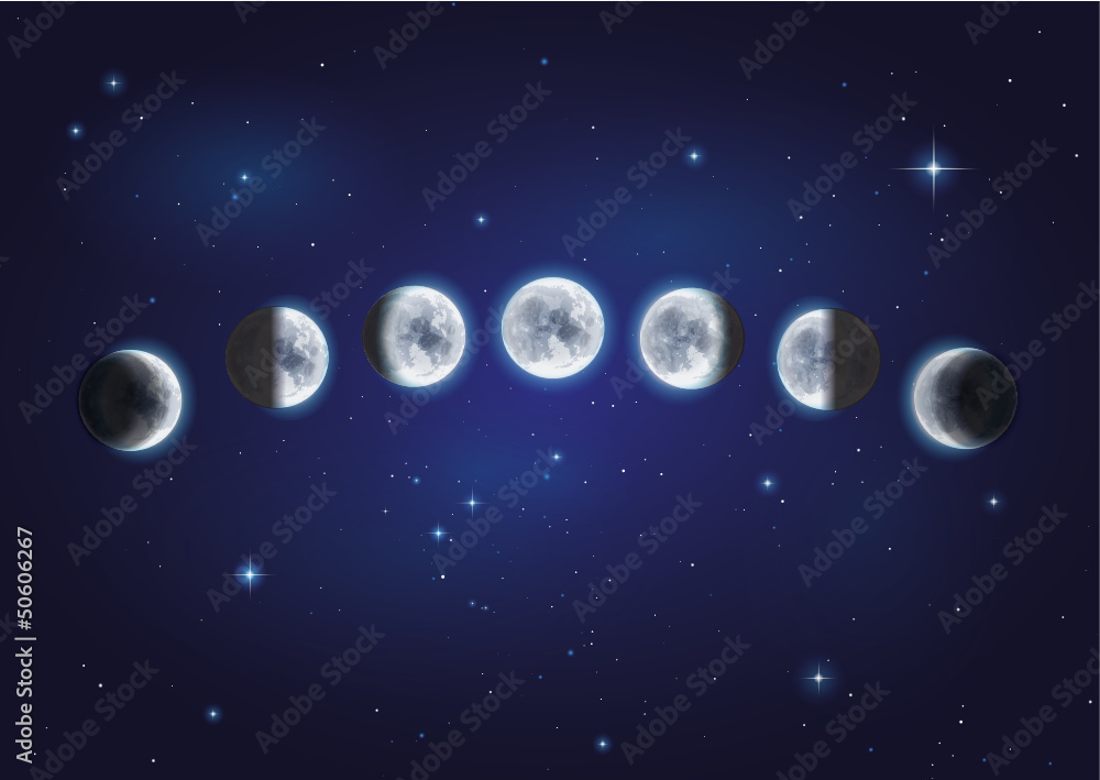 Mondphasen - Vector Stock Vector | Adobe Stock