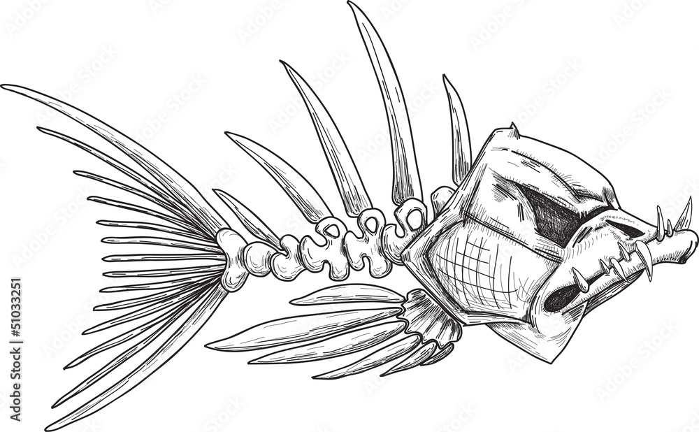 sketch of evil skeleton fish with sharp teeth Stock Vector | Adobe Stock