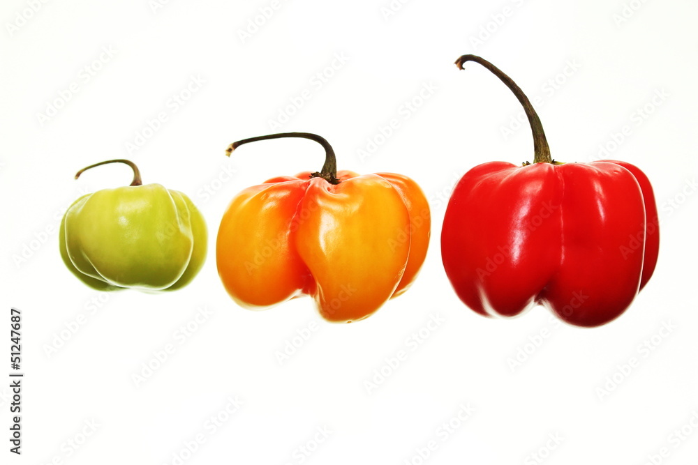 piments antillais horizon Stock Photo | Adobe Stock