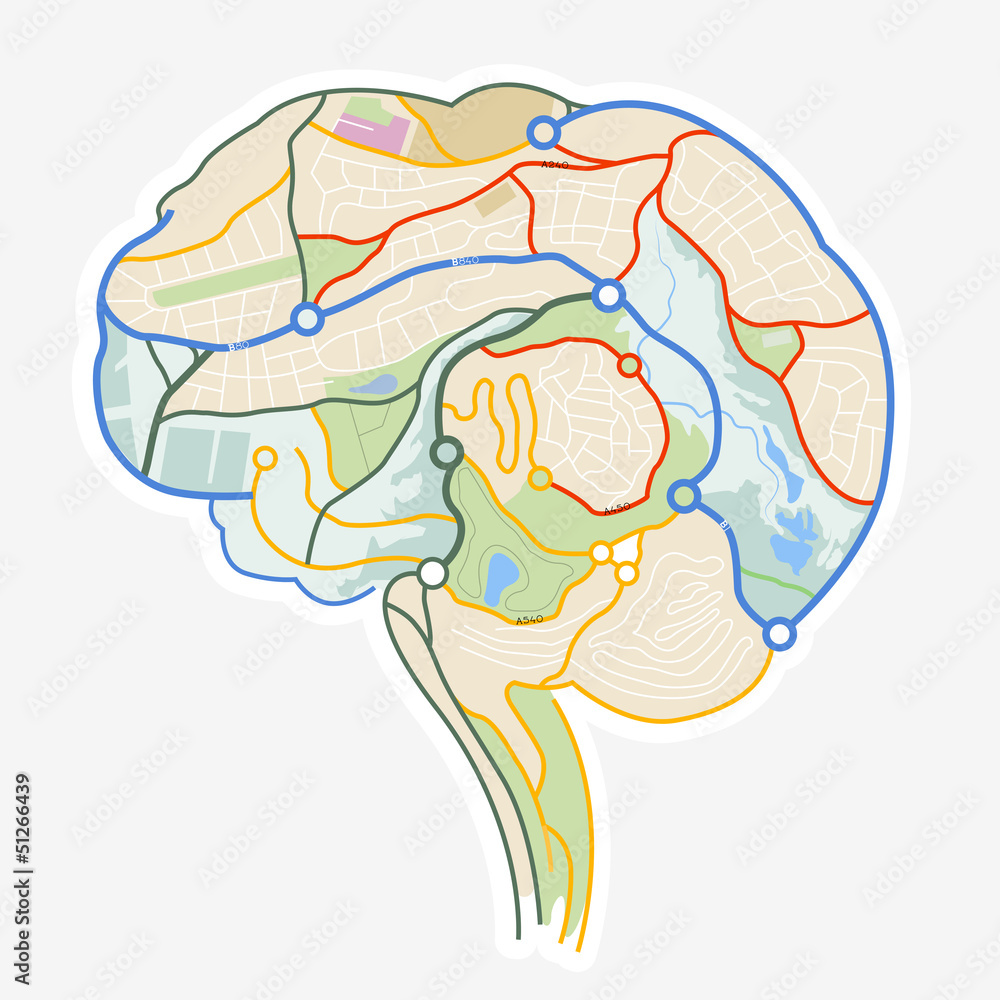 Brain Map. An illustration of a human brain made up from a map. Stock ...