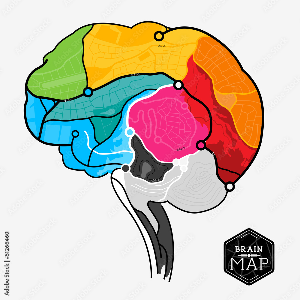 Vector Brain Map Stock Vector | Adobe Stock