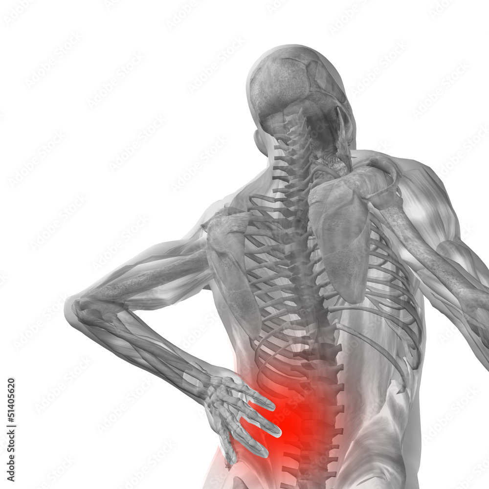 Conceptual 3D human pain anatomy Stock Illustration | Adobe Stock