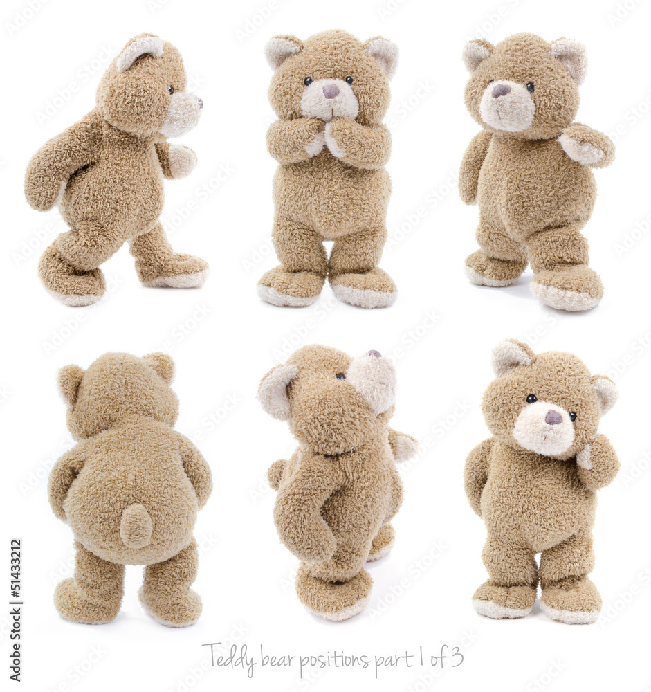 Teddy bear positions part 1 of 3 Stock Photo | Adobe Stock