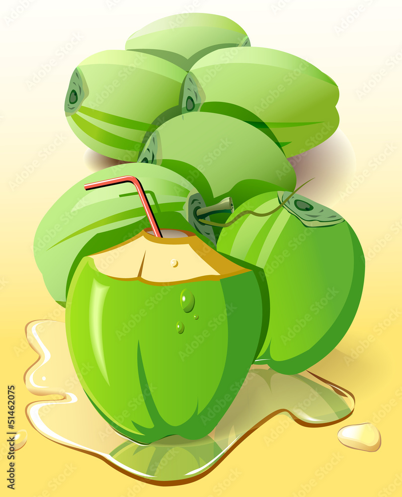 A bunch of tender coconut - vector Stock Vector | Adobe Stock