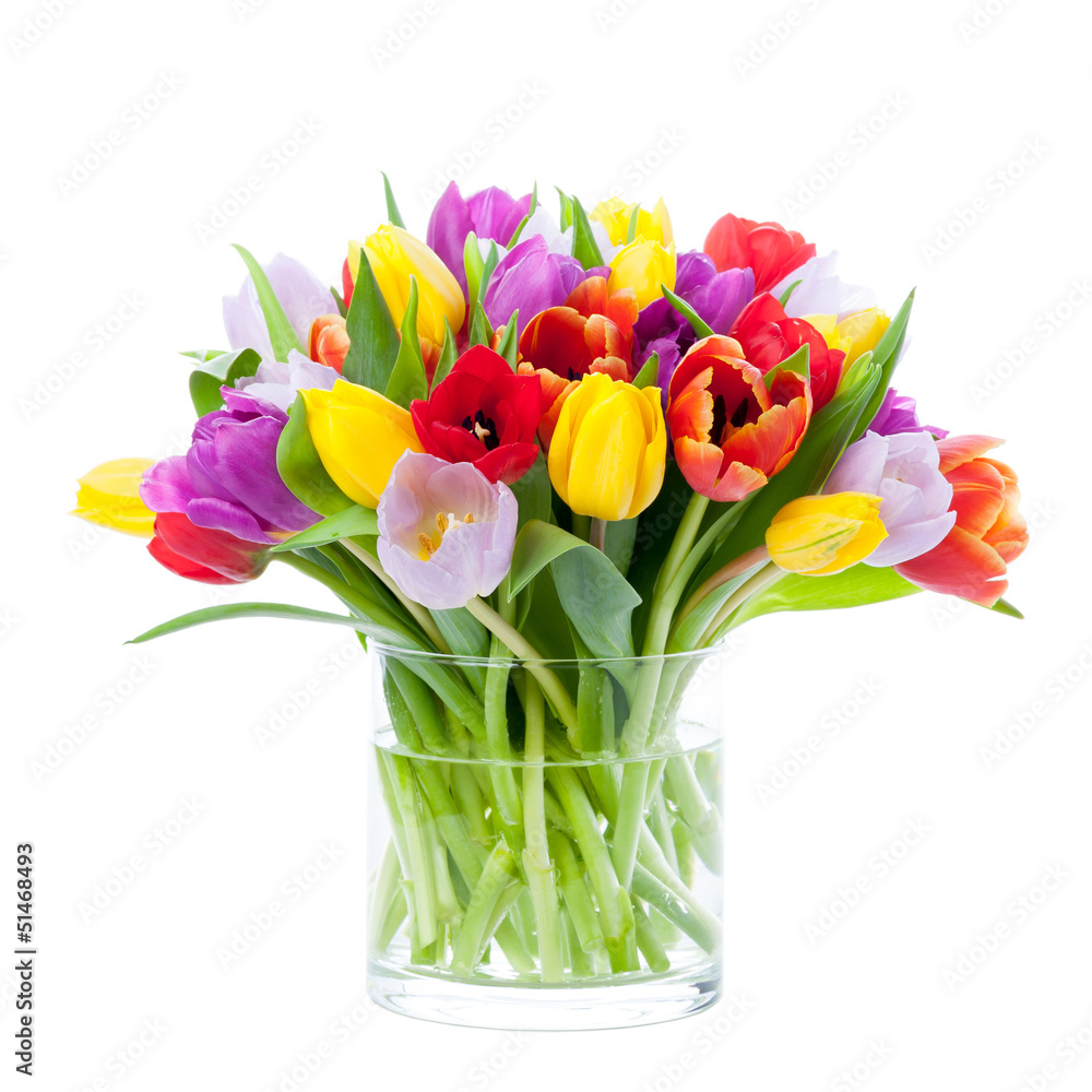 Tulpenstrauss Stock-Foto | Adobe Stock