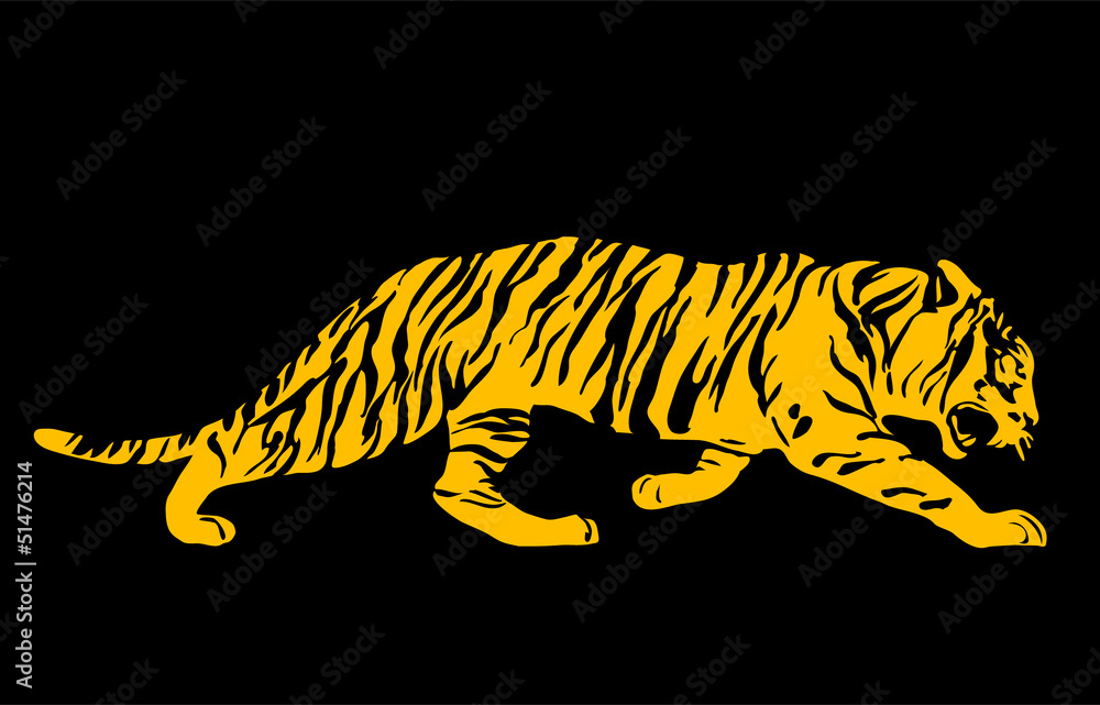 tiger Stock-Vektorgrafik | Adobe Stock