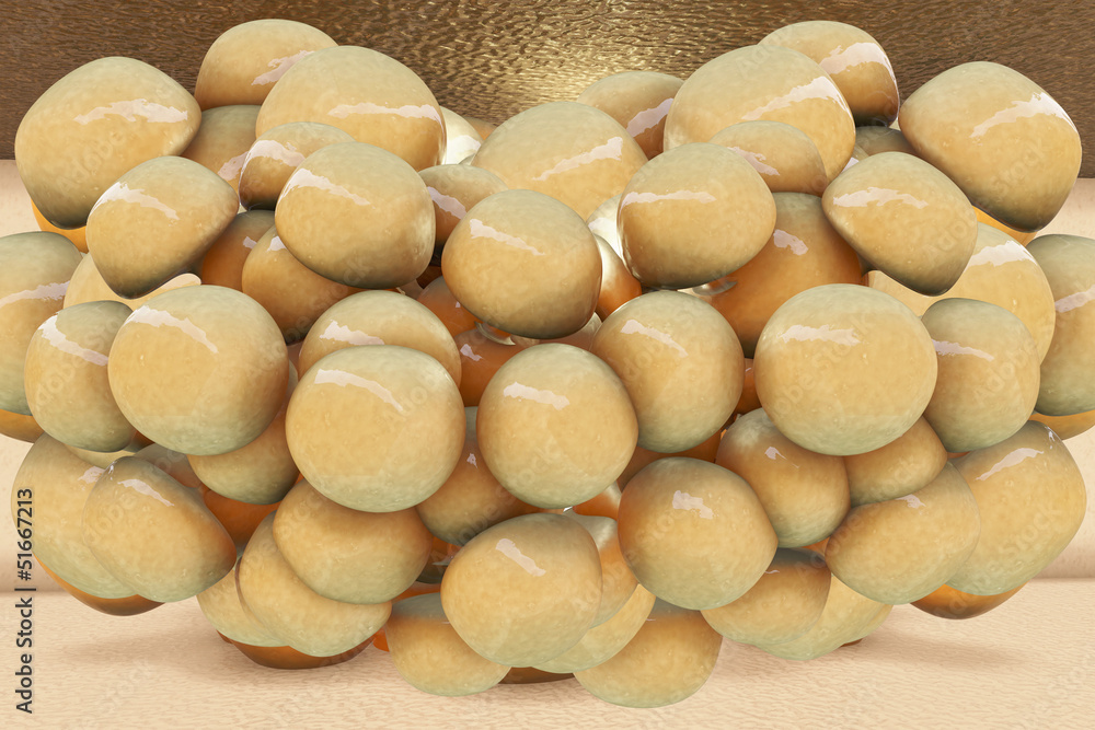 Fat cells - 3D Rendering Stock Illustration | Adobe Stock