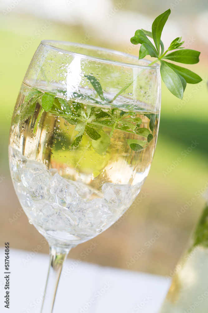 Maibowle mit frischem Waldmeister Stock-Foto | Adobe Stock