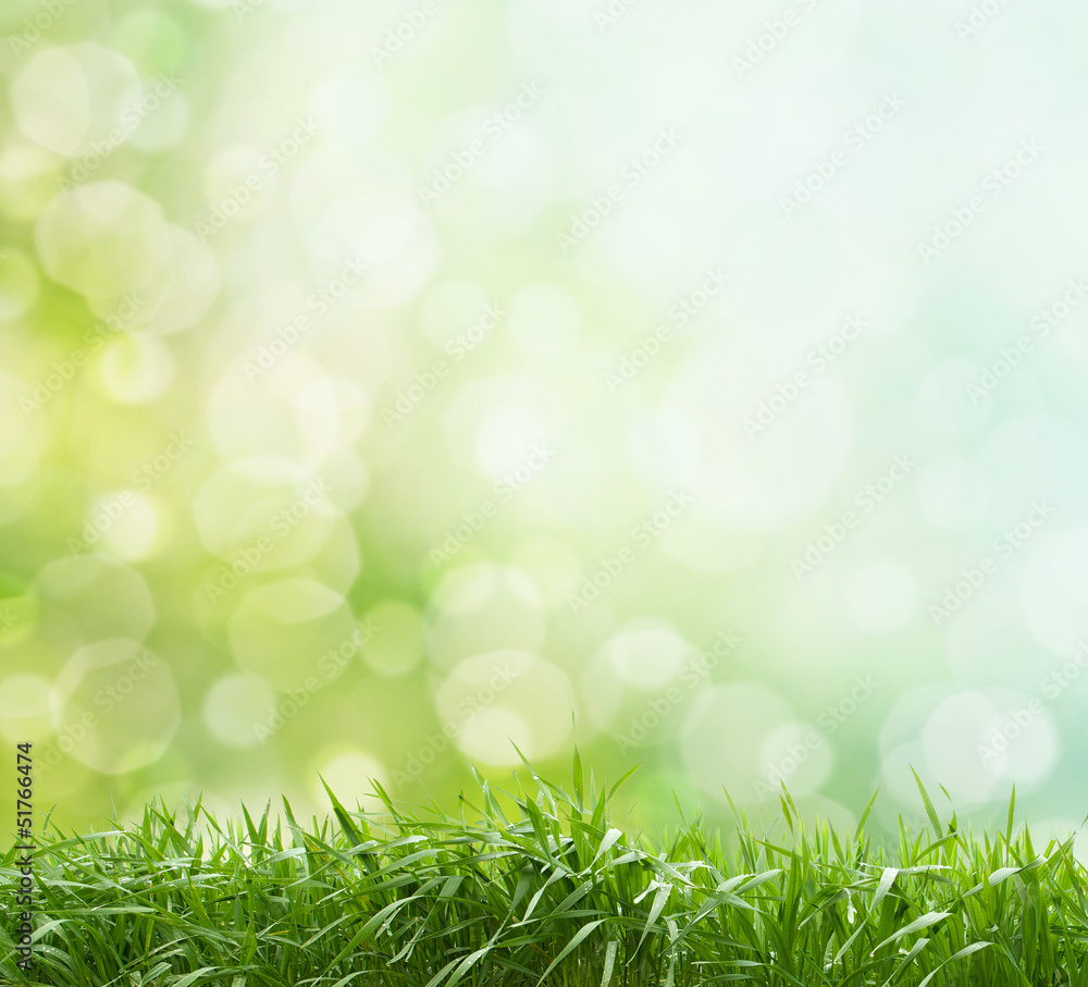 spring background Stock Photo | Adobe Stock