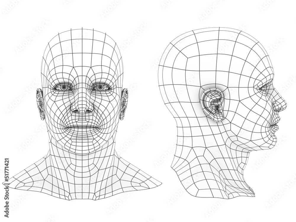 human head 3d wireframe front and side view ilustración de Stock ...