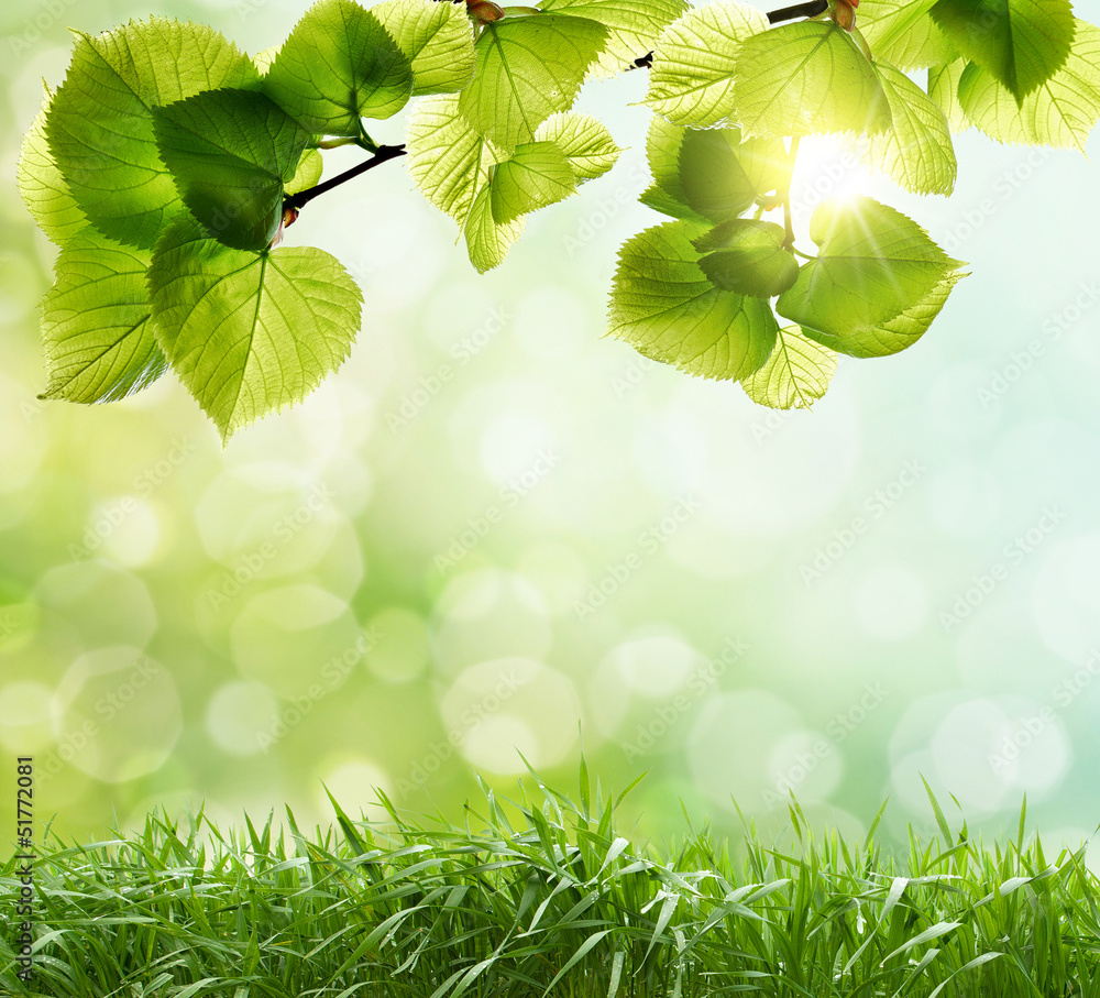 spring background Stock Photo | Adobe Stock